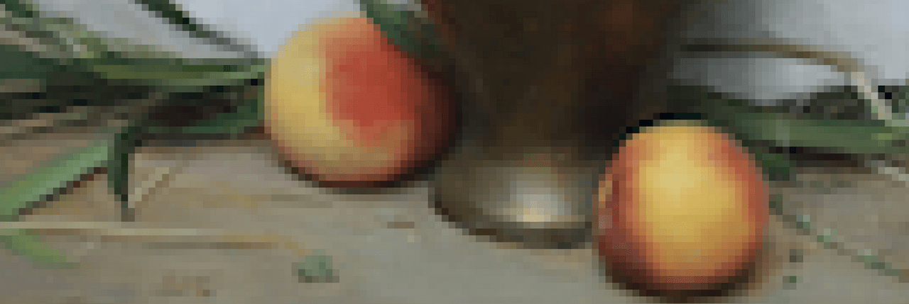 Concepts of Painting: Mixing Color | freearttraining.com