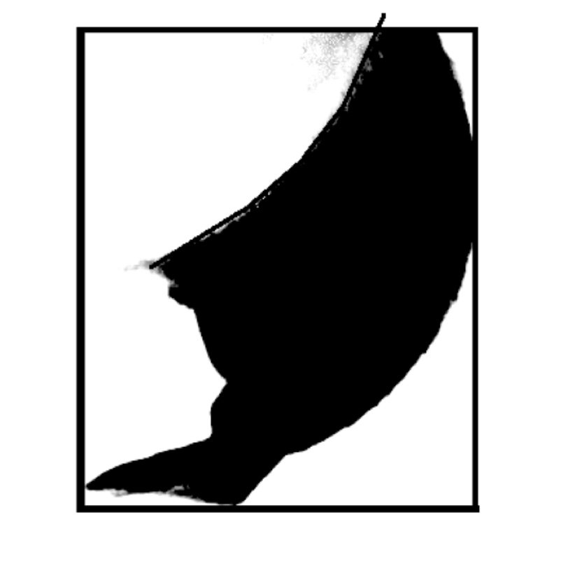 Overview of Process: Developing an Envelope | freearttraining.com