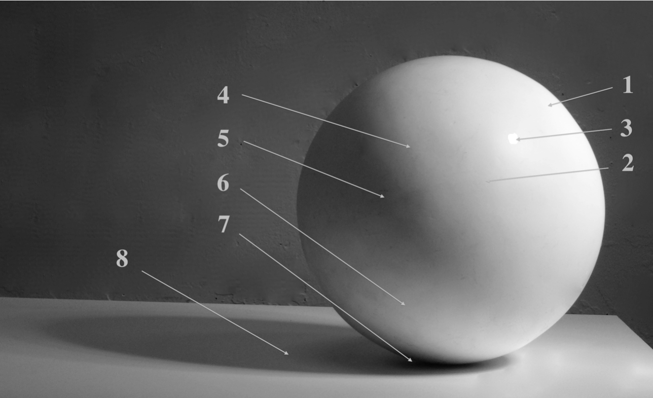 Overview of Concept: Shadow Anatomy | freearttraining.com
